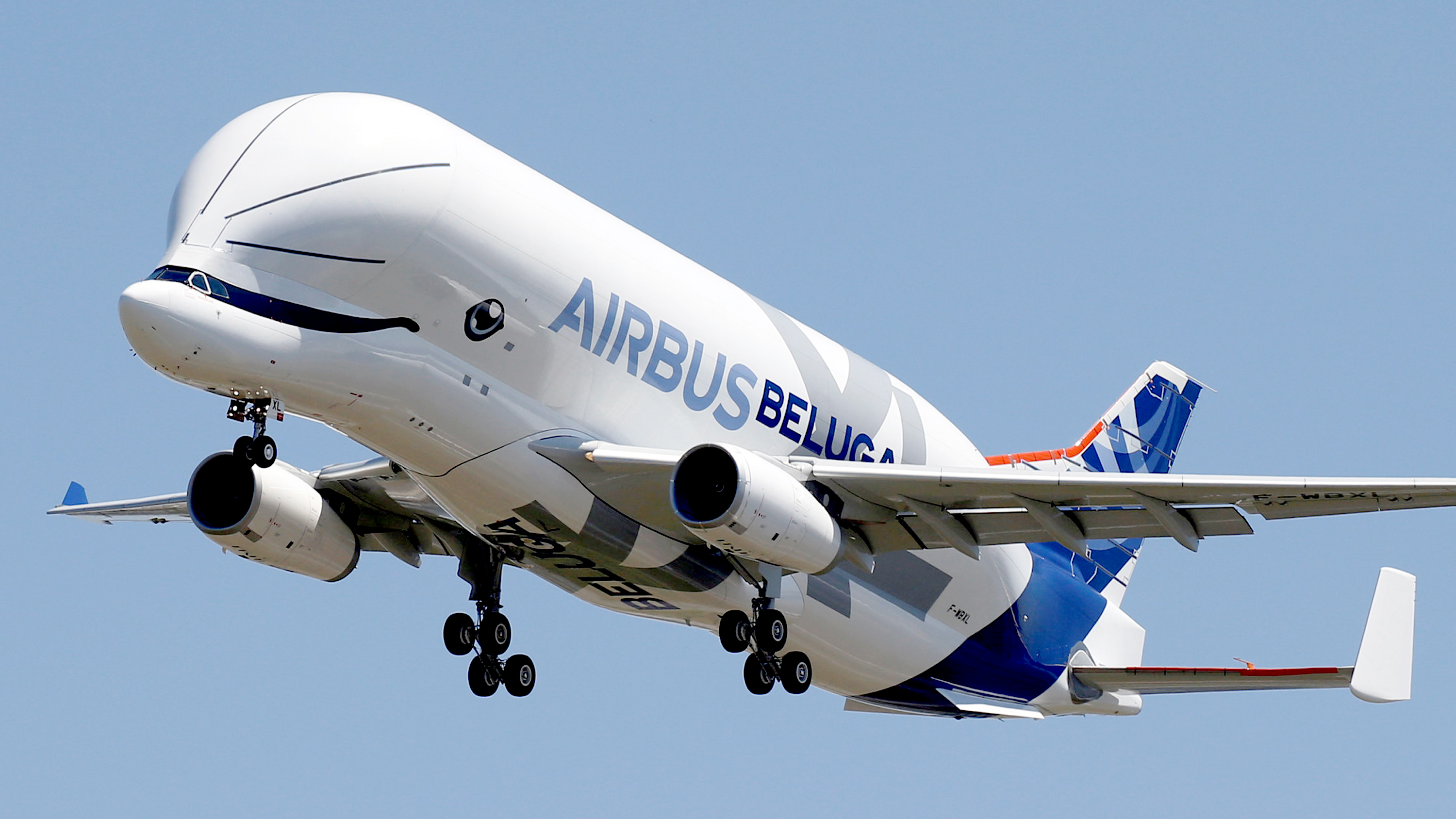 Una ballena en el cielo: el gigantesco avión de carga BelugaXL hace su ...