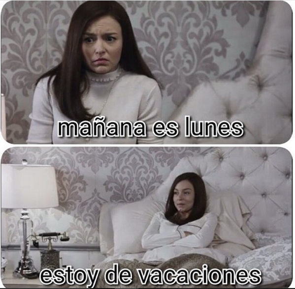 A Angelique Boyer le gustan tanto estos memes sobre ella que hasta los ...