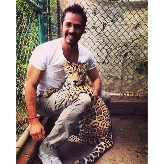 José Ron regresó a la soltería, mira con cuáles famosas ha mantenido ...